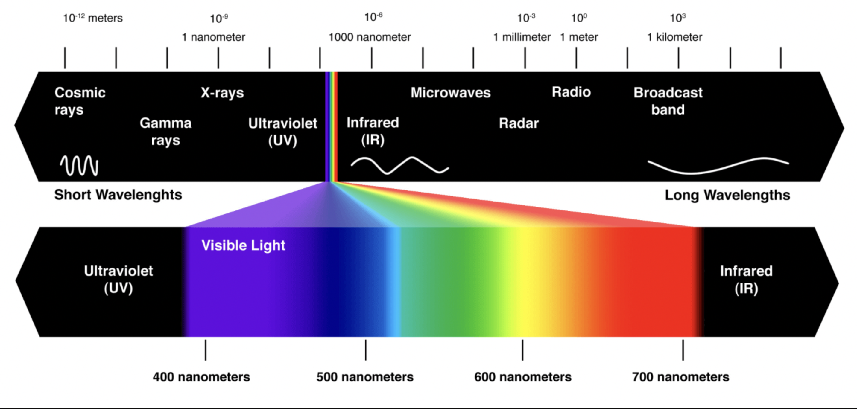THE VISIBLE LIGHT SPECTRUM
